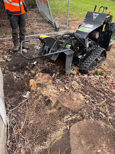 Brearb Tree Services | Tree Surgeon based in Preston